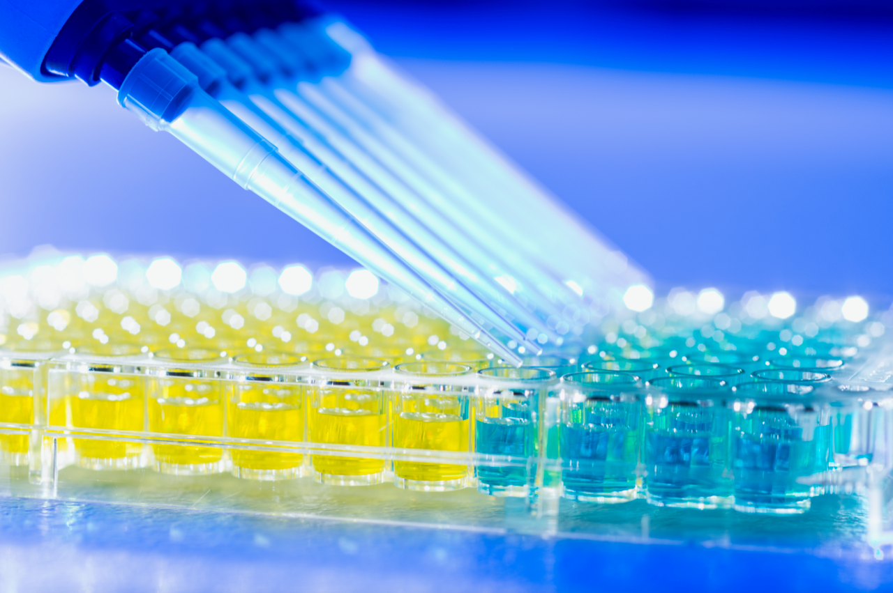 Fortress Diagnostics Receives Support from Invest No...