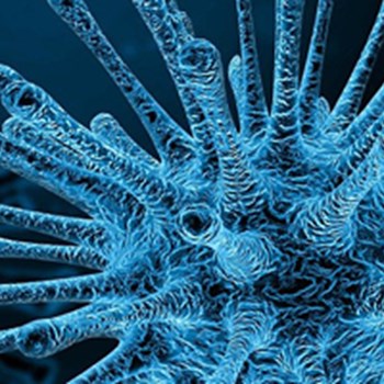 COVID-19 Coronavirus | Fortress Diagnostics