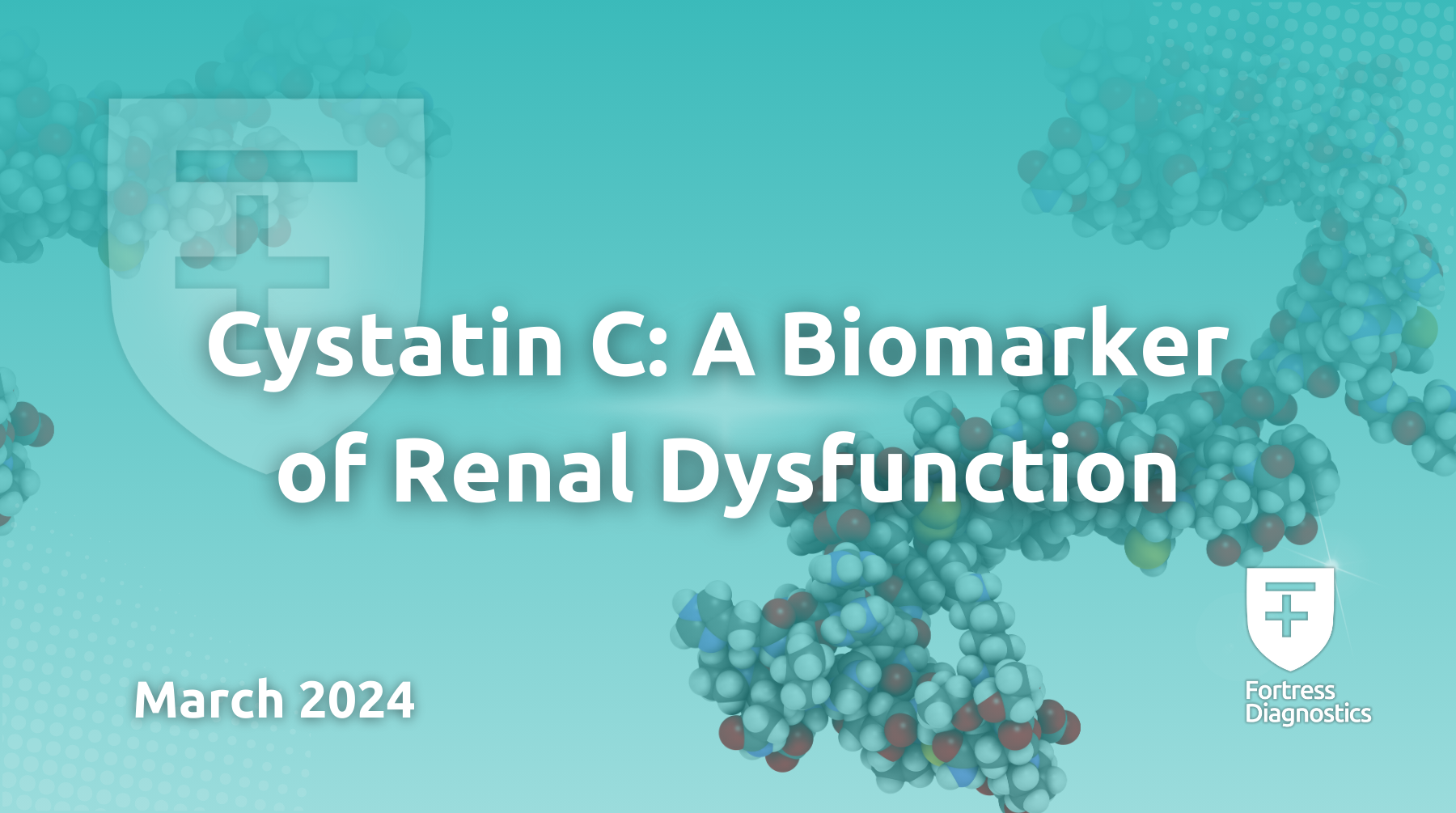 Cystatin C: A Biomarker of Renal Dysfunction | Fortr...